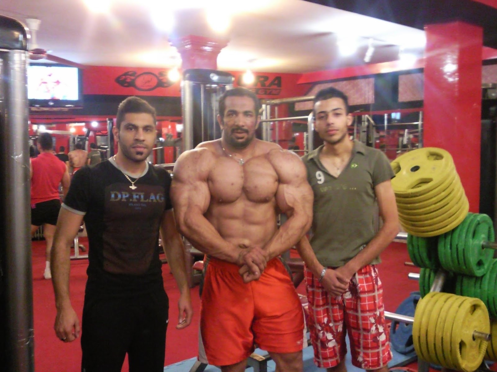 Muscle Lover: Iranian Super-Heavyweight bodybuilder Mojtaba Notarki