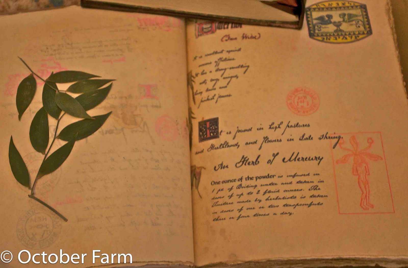 the Original Practical Magic Spell Book