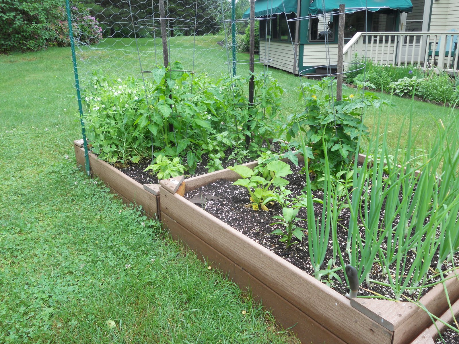 June's Garden To Do List