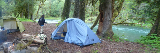 Lewis River Trail - Parks Academe