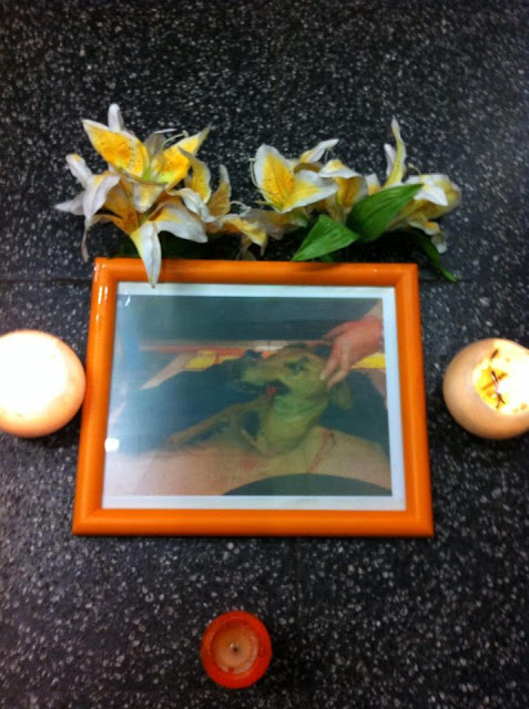 Mis galgas, yo y the ruby slippers: "EL TUNEL" por RUTH TOLEDANO. Sobre ...