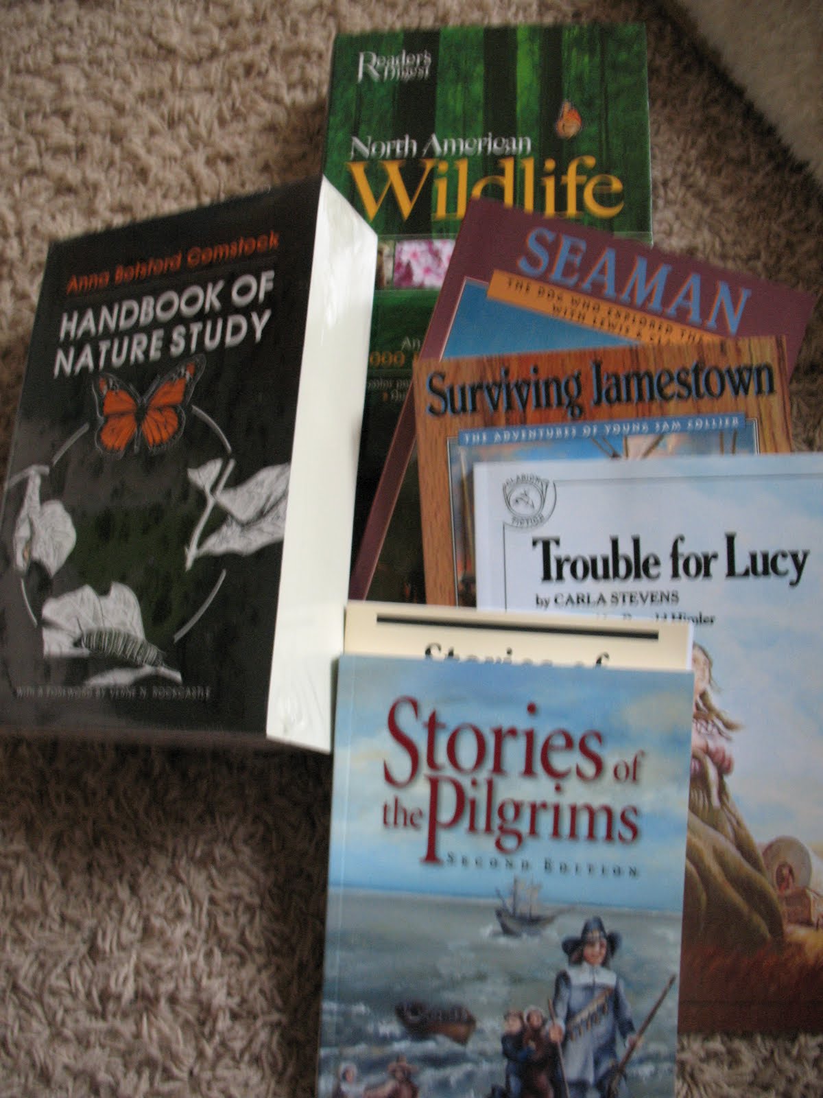 Meaningful Home Life: Trail Guide to Learning: Paths of Exploration pre ...