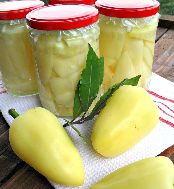 Gaga u kujni: Somborka u turšiji