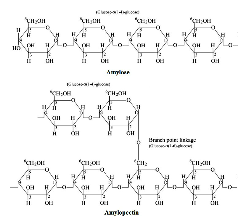 savvy-chemist: GCSE OCR Gateway Organic Chemistry C6.2h The Structure ...