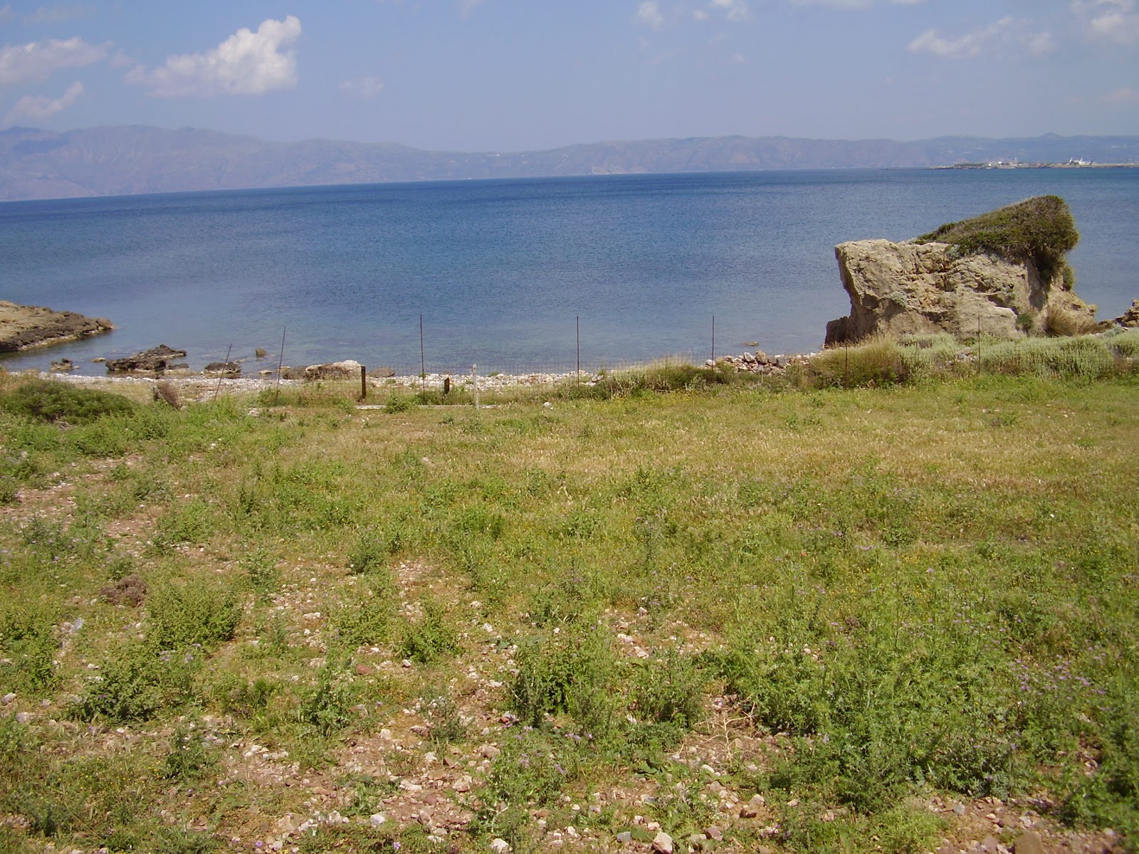 Βιολογικές καλλιεργειες: ΣΤΑΜΝΑΓΚΑΘΙ