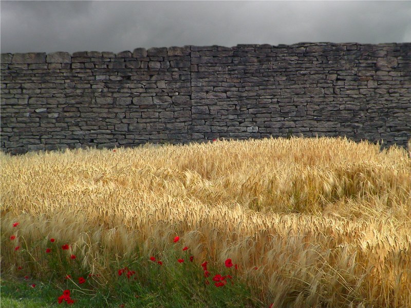 Latest Country Scapes Wallpapers |hd wallpapers|widescreen desktop ...