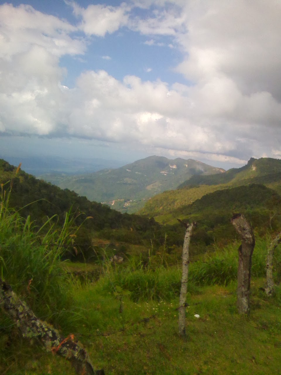 Cascada y Quebrada "El Vino" Dinira: La Aguada de los Arenales