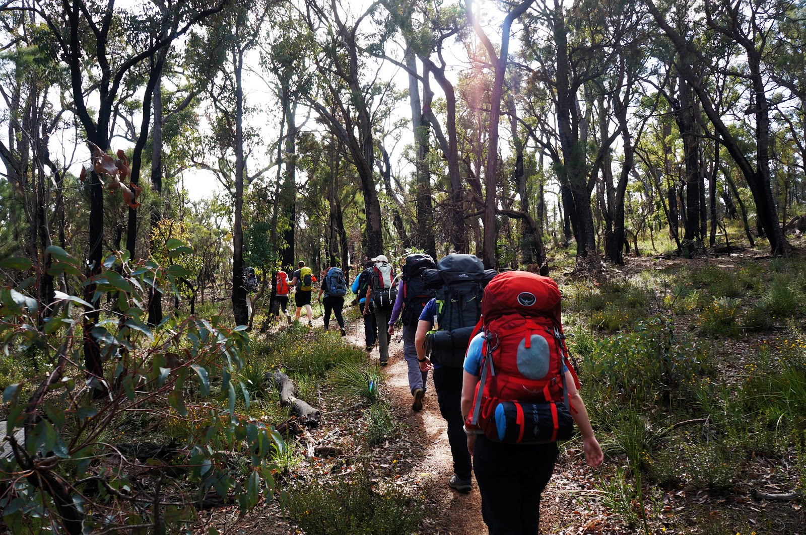 10 Ways The Bibbulmun Track is the Best Beginners Trail ~ The Long Way ...