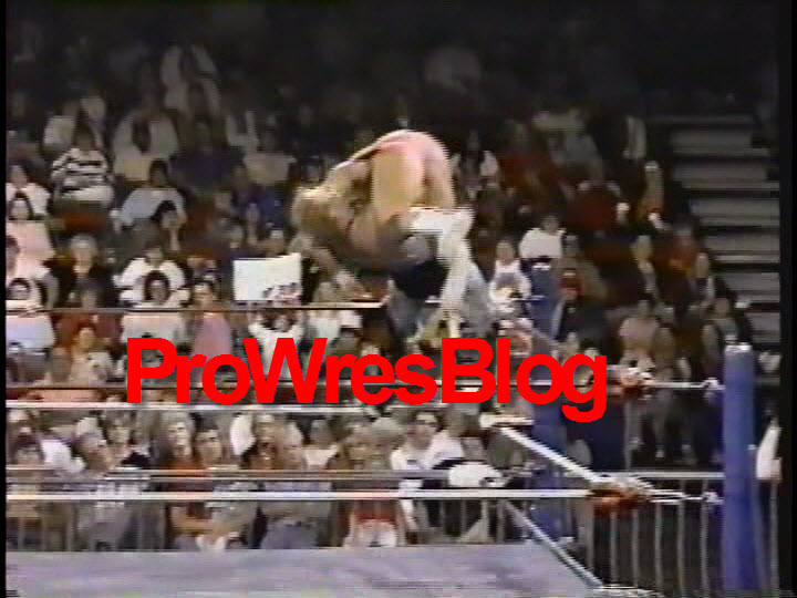 ProWresBlog: WCW Power Hour 1/19/1991 Review