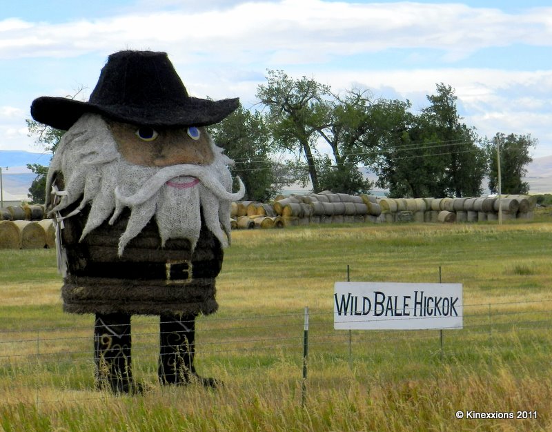 kinexxions: Montana Bale Trail :: What the Hay?