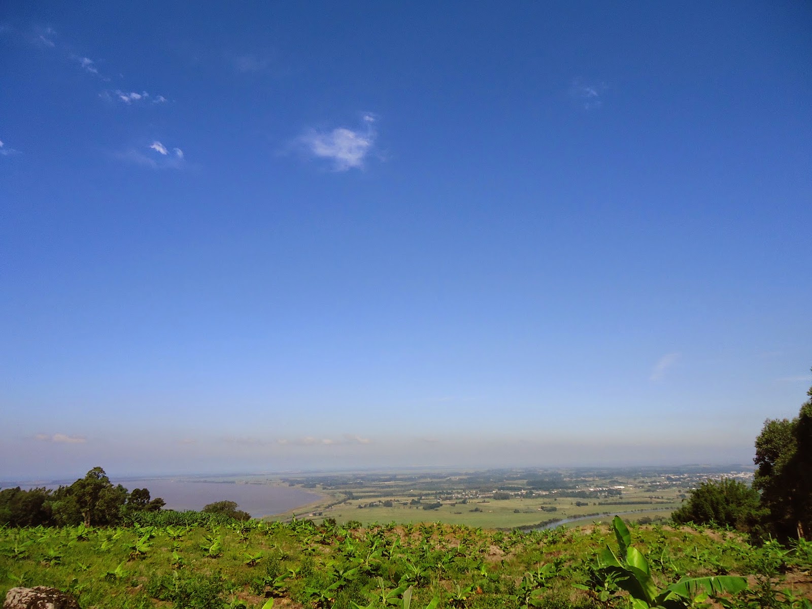Lycengraulis: Lagoa Itapeva, litoral norte RS