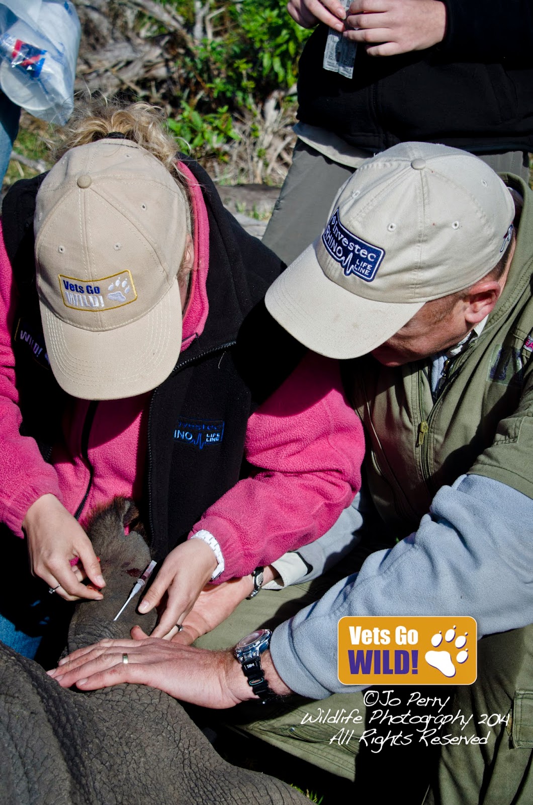 Vets Go Wild July 2014: July 2014