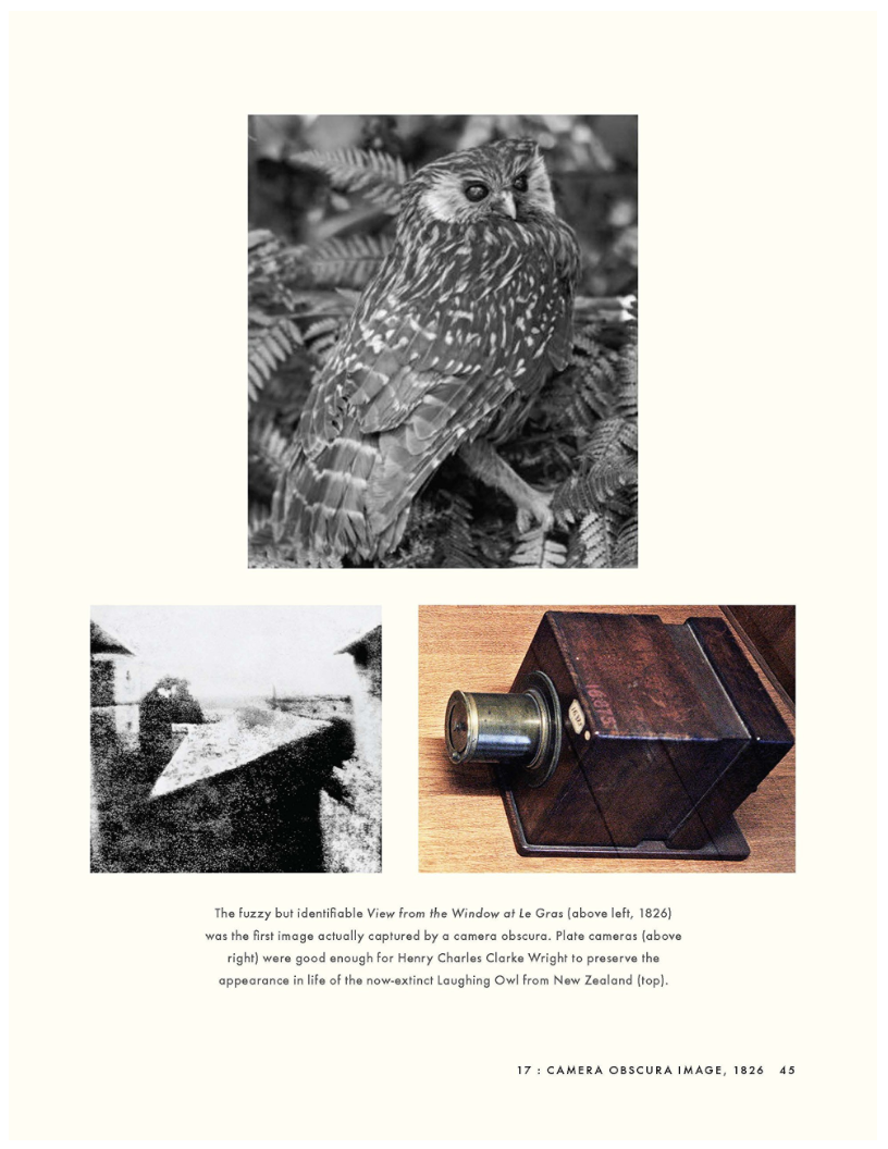 Hipster Birders: Review: A History of Birdwatching in 100 Objects