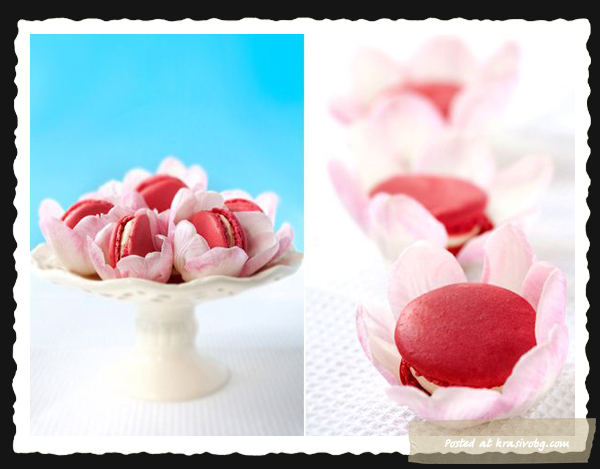 KRASIVO: Mowie Kay food photography