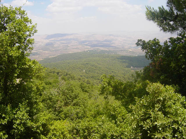 Touristic Sites in Jordan: The Nature of Ajloun