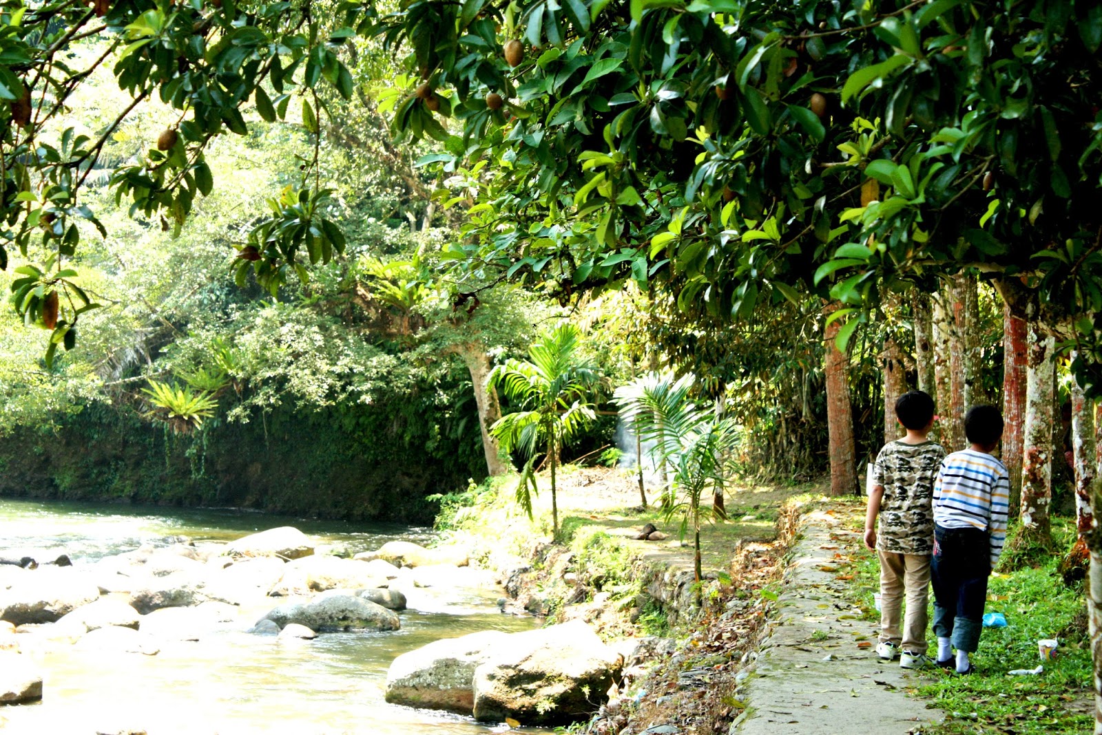 Ucox The Journey: TC Sayum Sabah (Sembahe, North of Sumatera - Indonesia)
