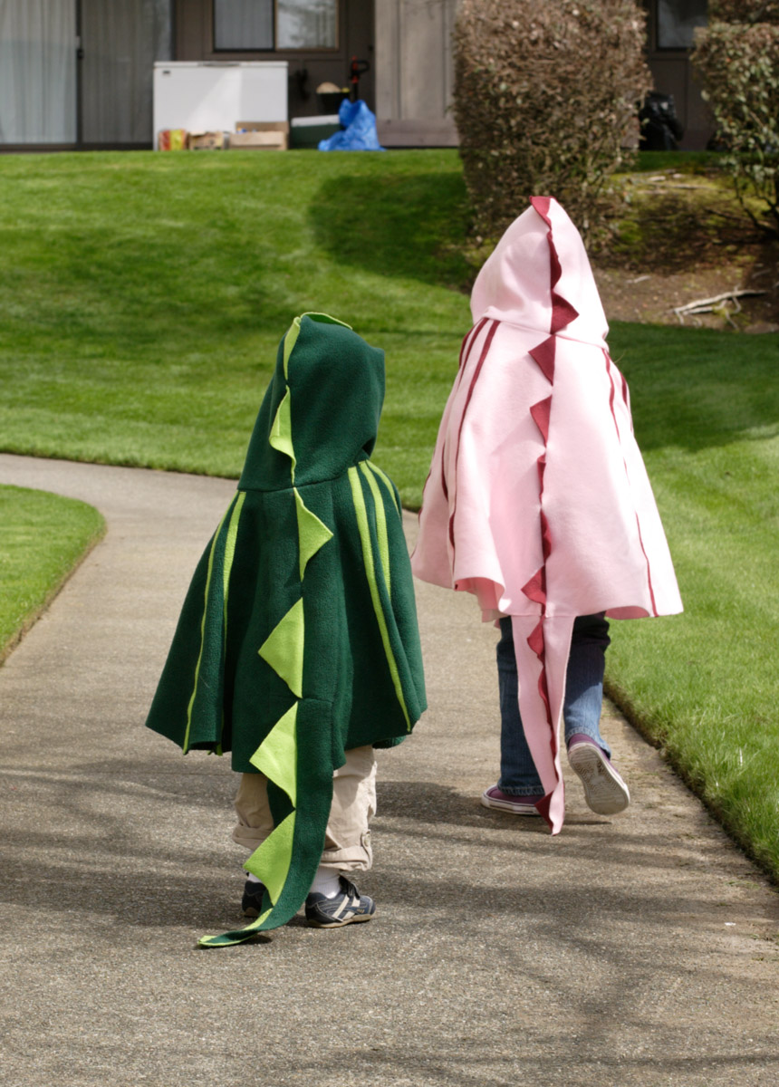 "We do it the Hard Way": Two Little Dragons