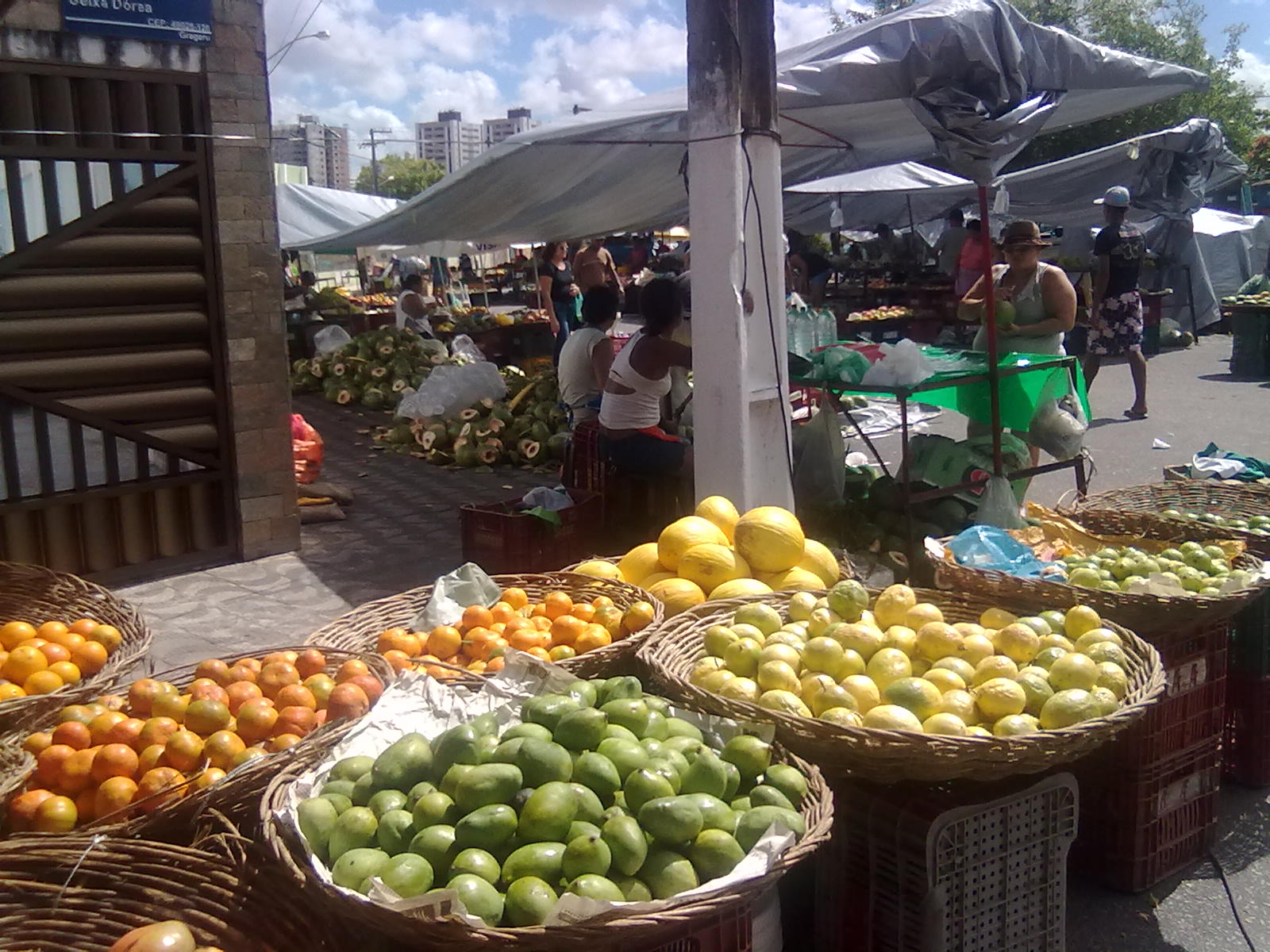 Escrevinhando: Parábola das coisas – a feira