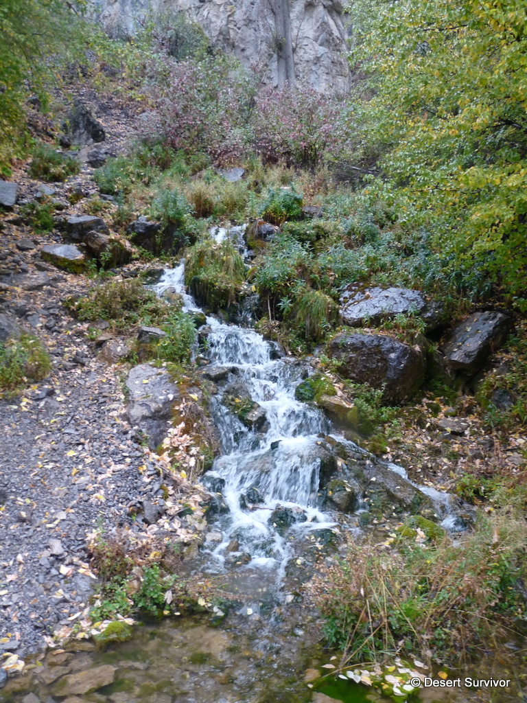 Desert Survivor: Logan Cave