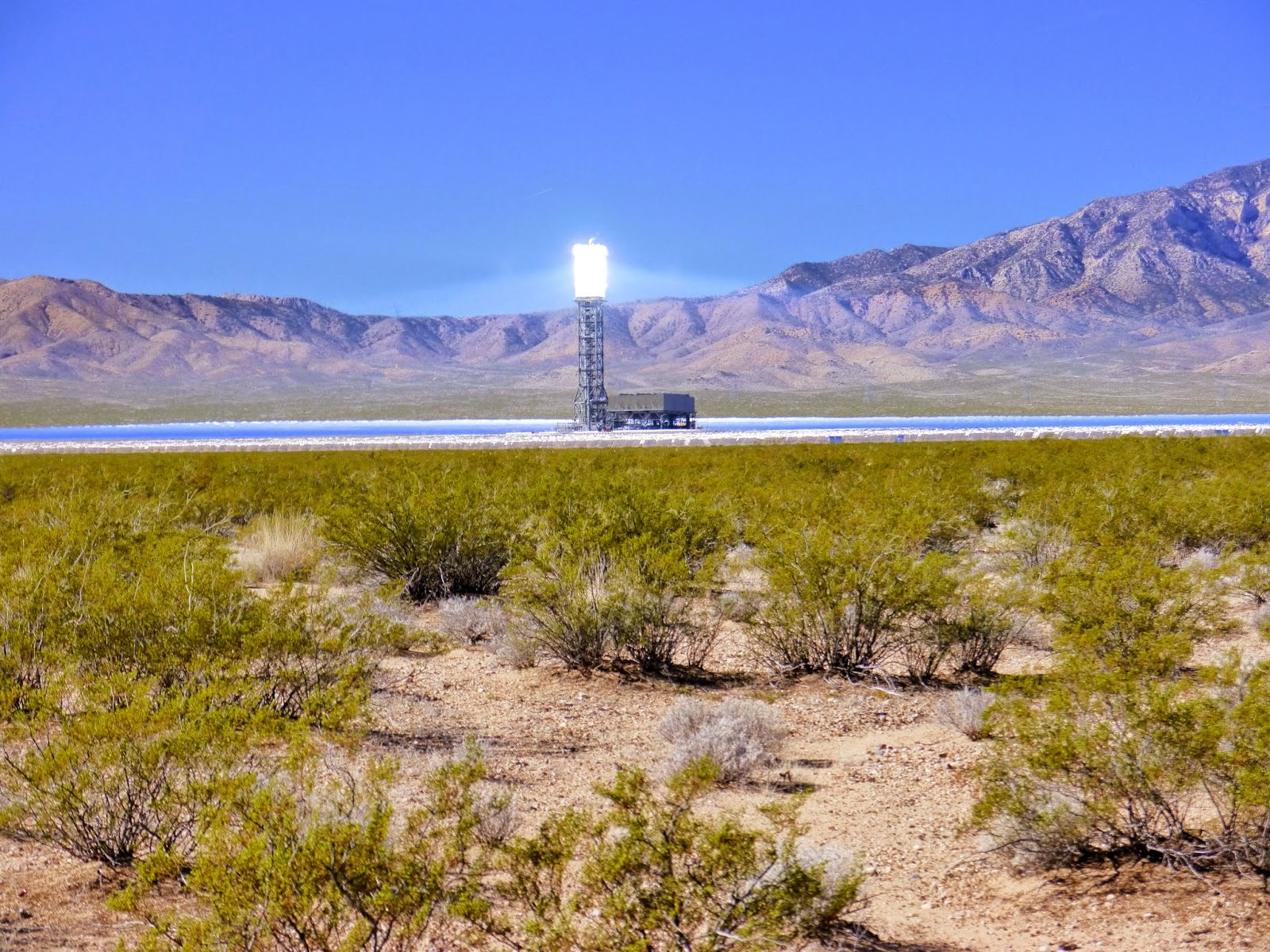 American Travel Journal: Ivanpah Solar Electric Generating System