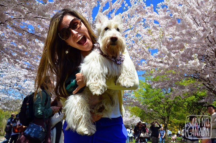 BRazuCAs por AI - Em Winnipeg: Entrevista com Gaby no Canada