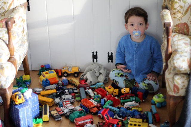 Campestral: Too Many Toys Getting You Down?