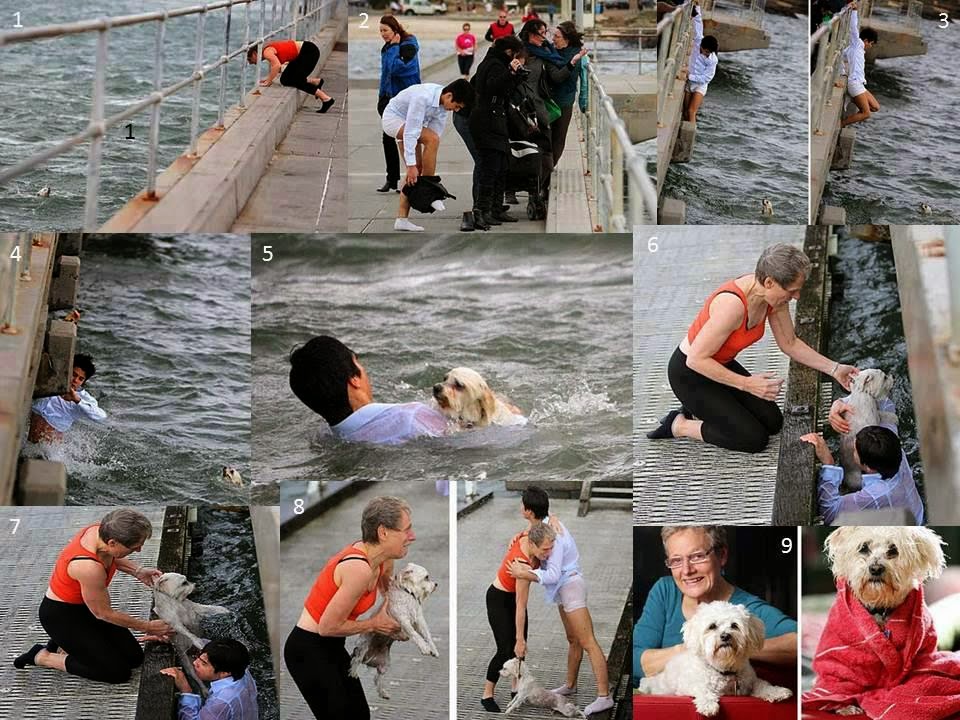 RAGAZZO SALVA CANE CHE AFFOGA, LE IMMAGINI FANNO IL GIRO DEL WEB