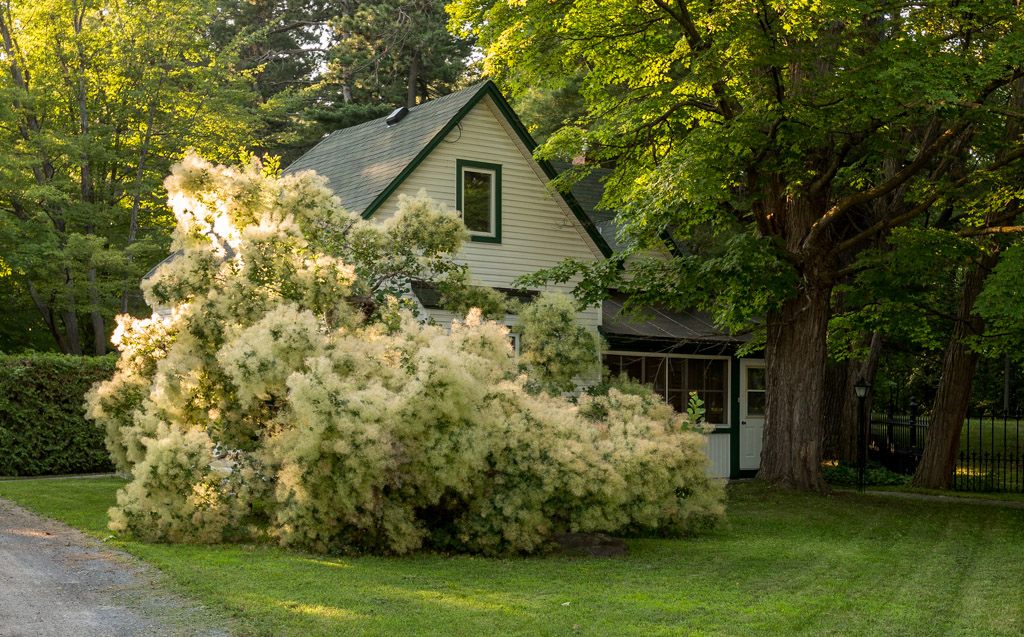 The AC is On: Gillies Grove