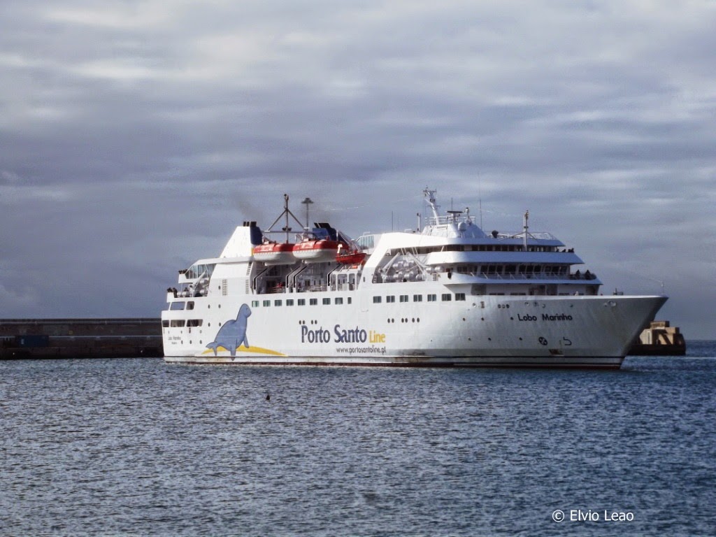 mar do porto santo: Lobo Marinho com horários diferentes na quadra Pascal