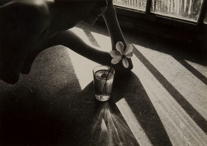 Los Grandes Fotografos: Boris Davidov (1942)