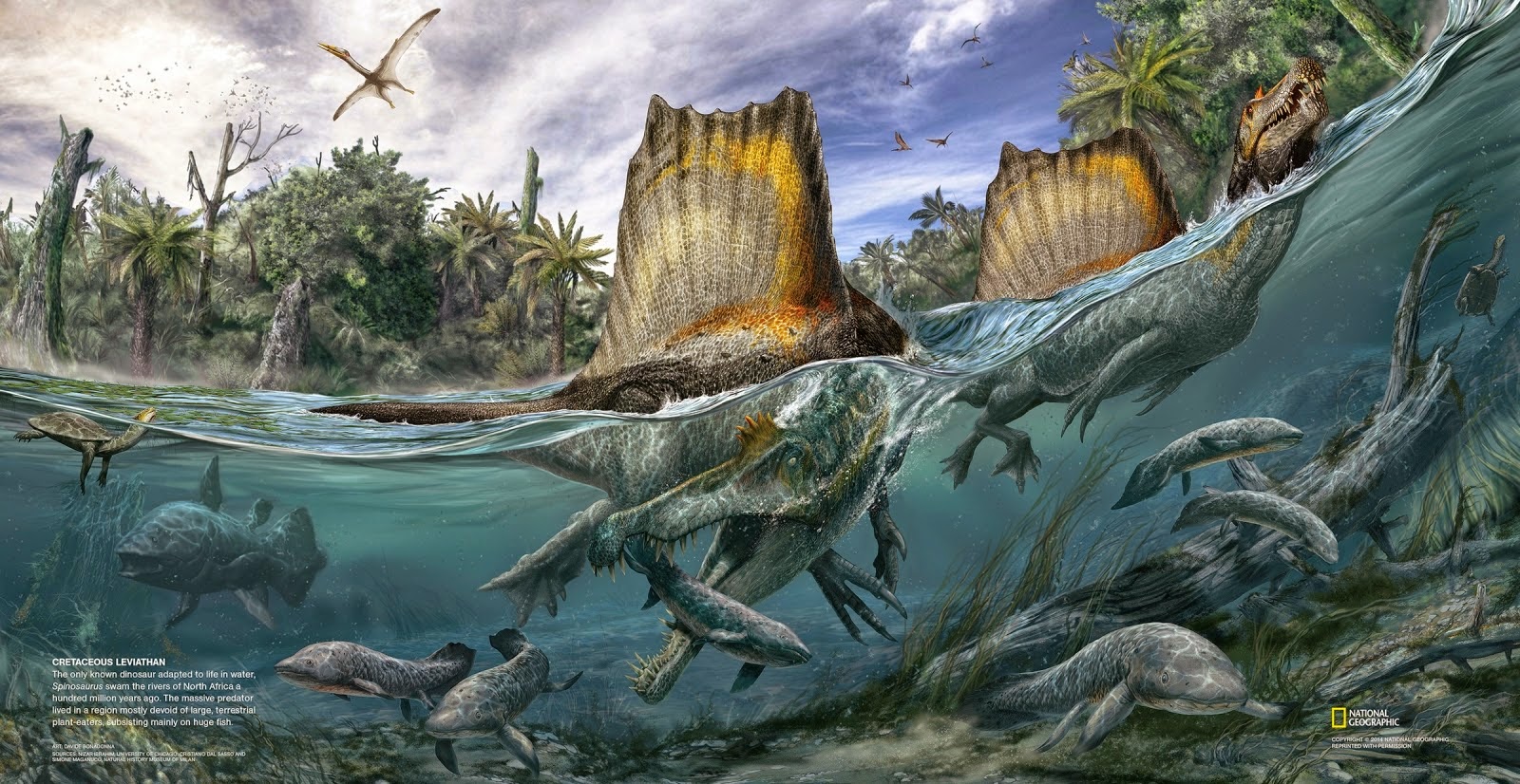 Palaeos, la historia de la Vida en la Tierra: La nueva imagen de ...