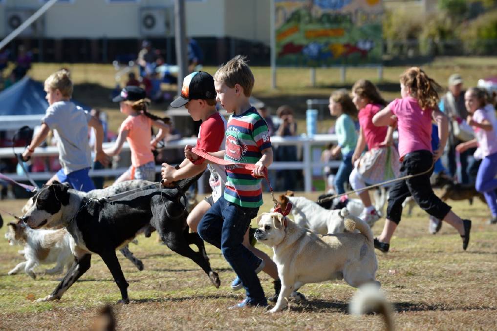 The Great Nundle Dog Race 2018 - May 6 | Australian Dog Lover