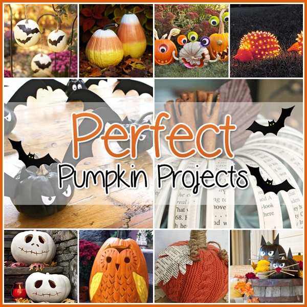 35 Perfect Pumpkin Projects - The Cottage Market