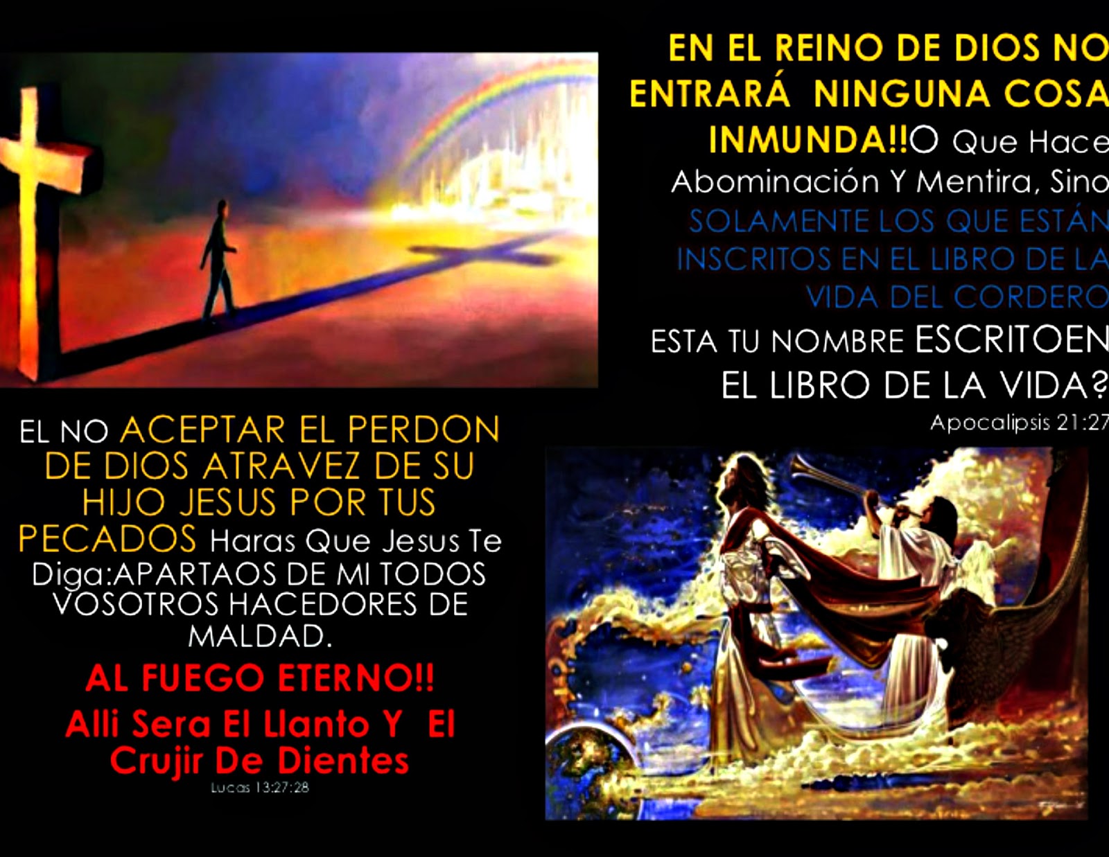 "INSIGNE Y REAL BASILICA CATEDRAL DE LA ASUNCION DE LA BIENAVENTURADA ...