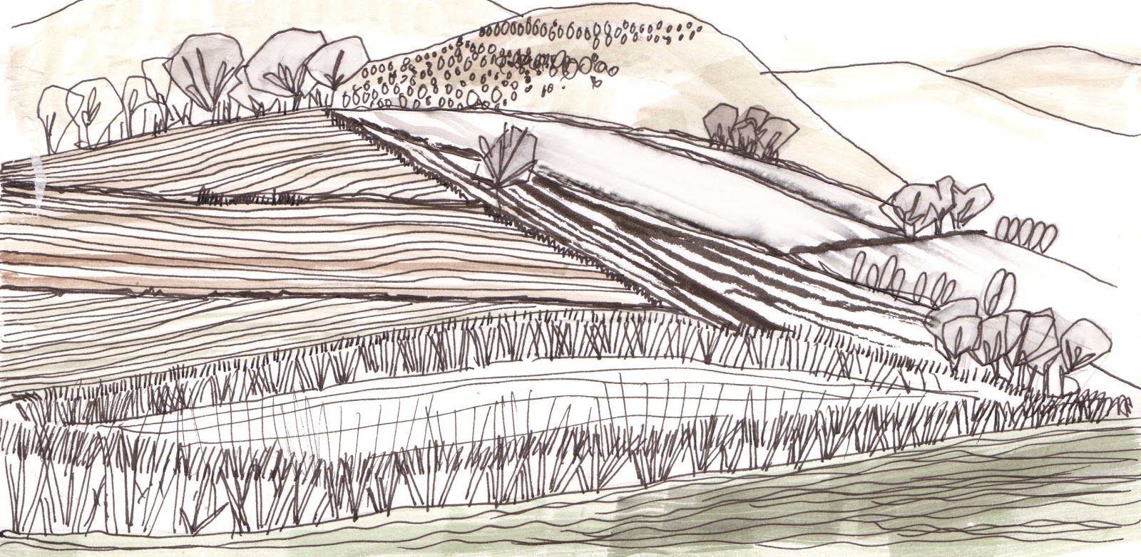 Josie Holuj PRINT : Land pattern drawings