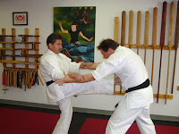 Martial Views: The Isshinryu Front-Kick: Varieties, Chambering and Distance