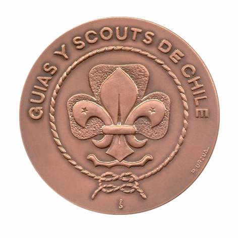 El Rincon del Scout Coleccionista: Medalla del Jamboree Mundial 1999. Chile