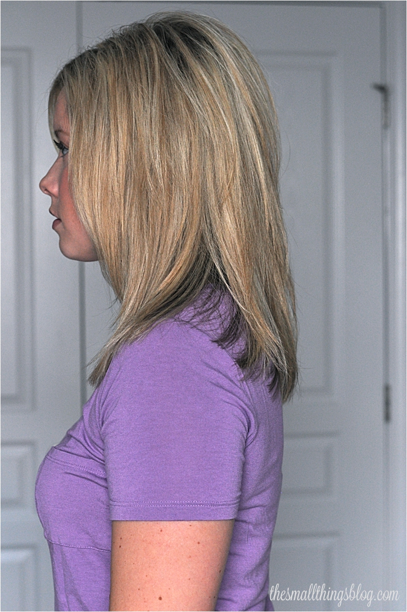 Medium Layered Hair Back View