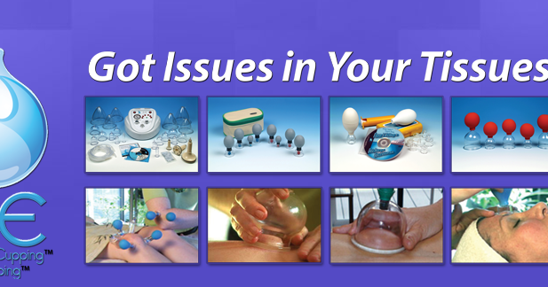 Bodywork Buddy Blog : Got Issues in Your Tissues?