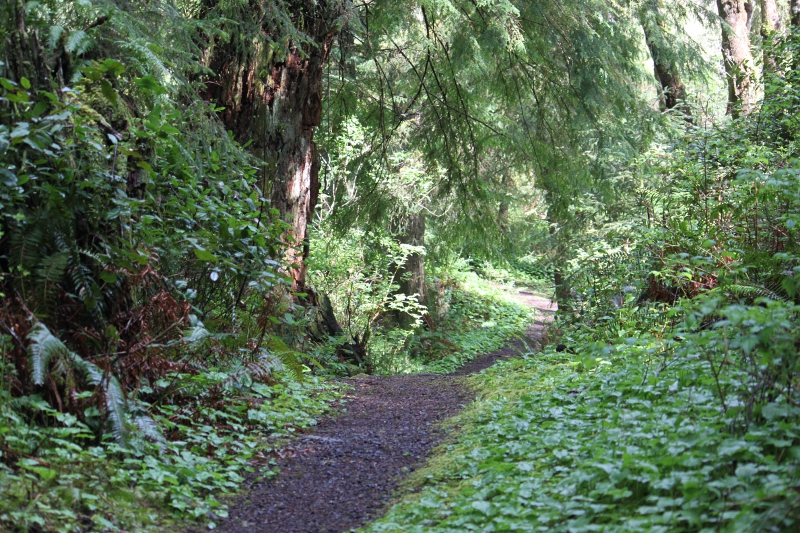 Central Oregon Coast: Spring Lake Open Space