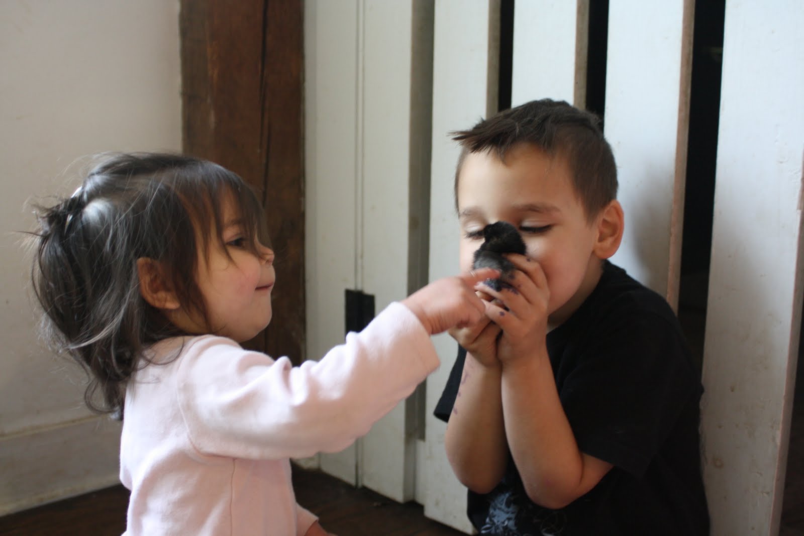 Woohoo! The Cuteness is Overwhelming! Baby Chicks have arrived ...