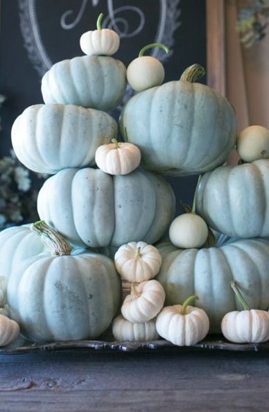 the pink clutch ...: Blue Pumpkins ... #yesplease
