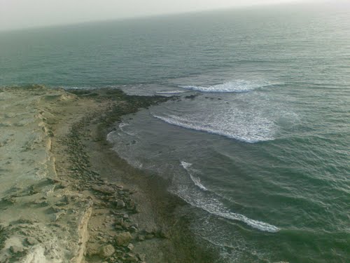 Spreebird wildlife: JIWANI PORT (BALUCHISTAN-PAKISTAN)
