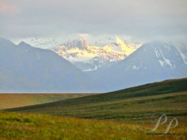 Eric Valentine's Praise Photography Blog: The Zumwalt Prairie country ...