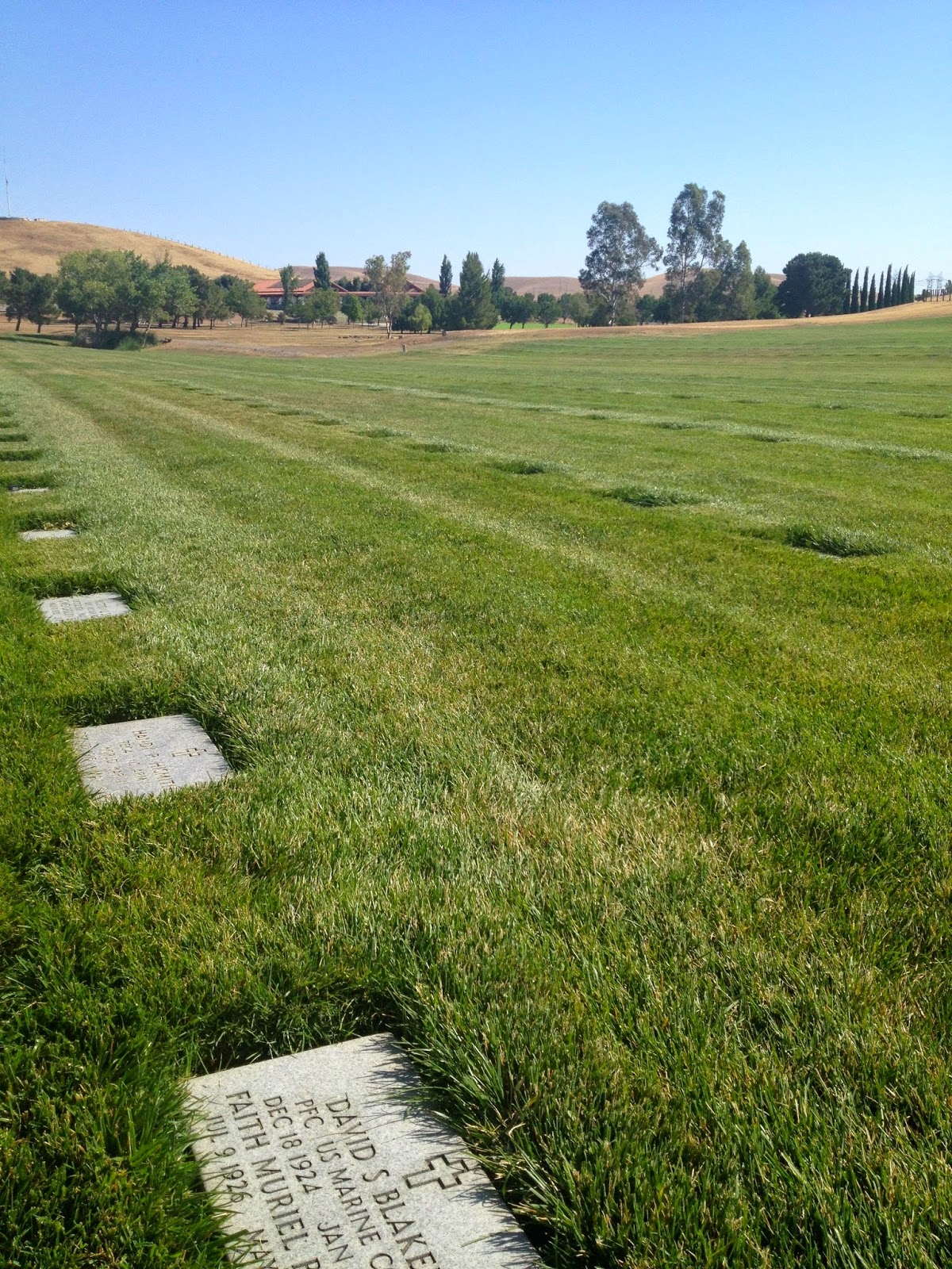 Remember: Aunt Faith and Uncle David Blakely