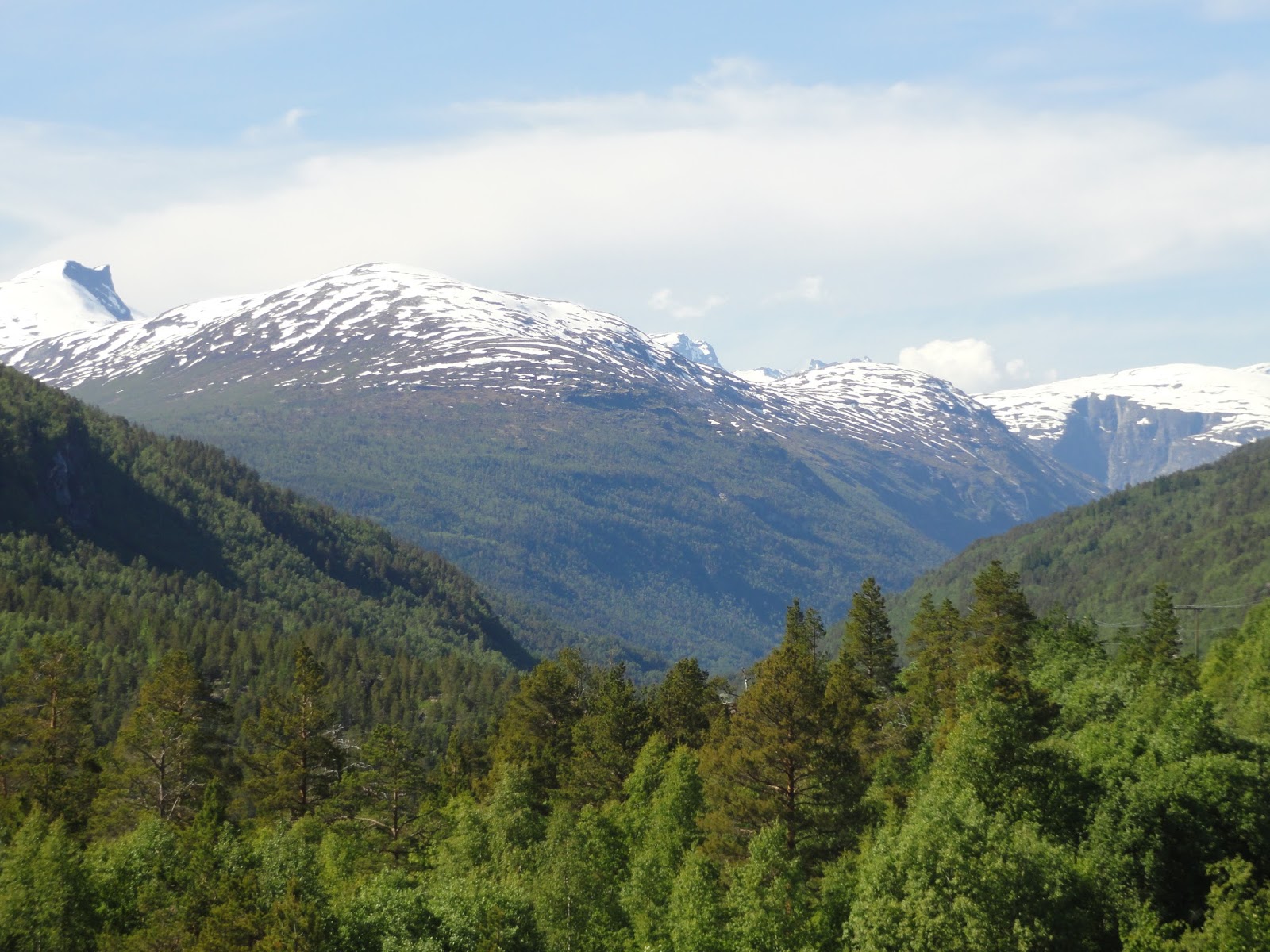 Tipos de clima e biomas