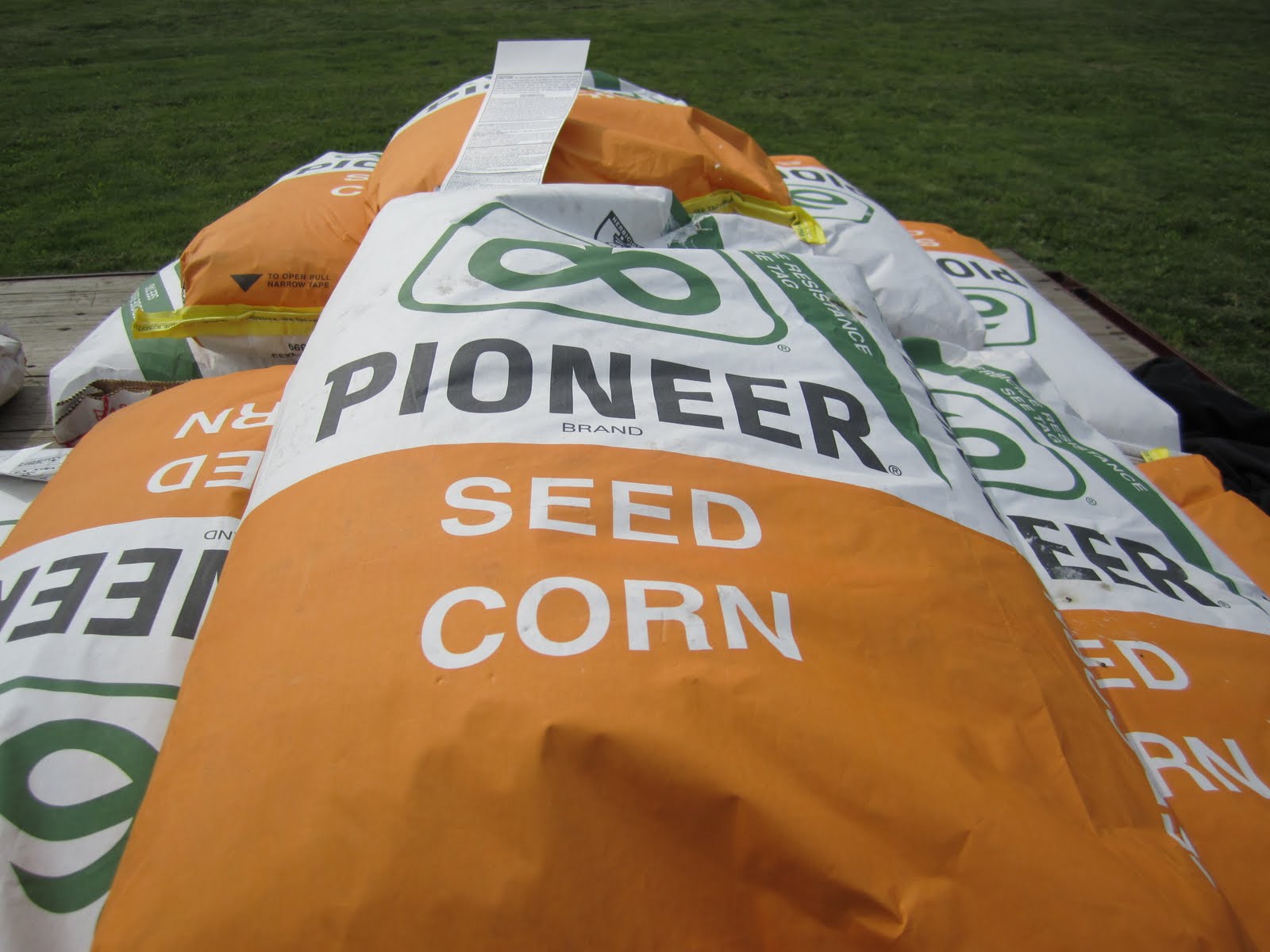 "Happenings" at Hurricane Hill Farm (A Pennsylvania Century Farm): Corn ...