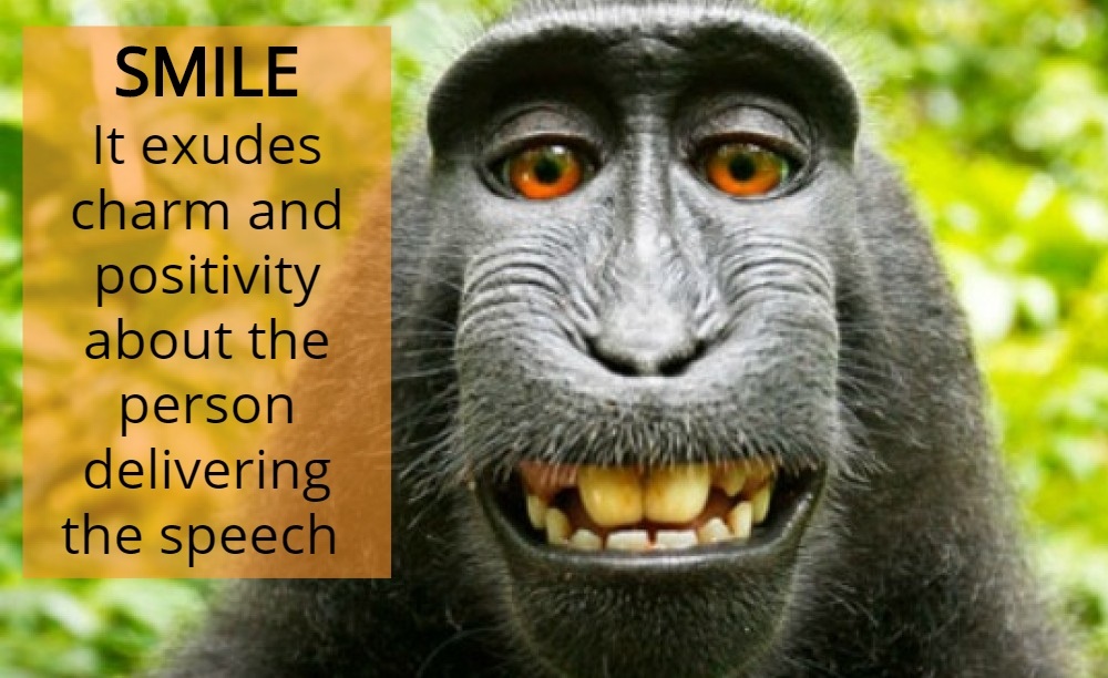 Body Language Matters: Proper Posture, Movement & Gestures - Simply ...