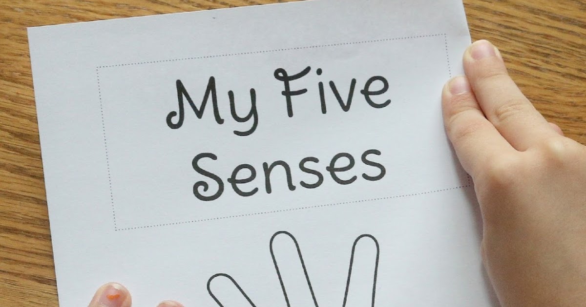 My Five Senses Book For Kids Still Playing School my-five-senses-book-for-kids-still-playing-school
