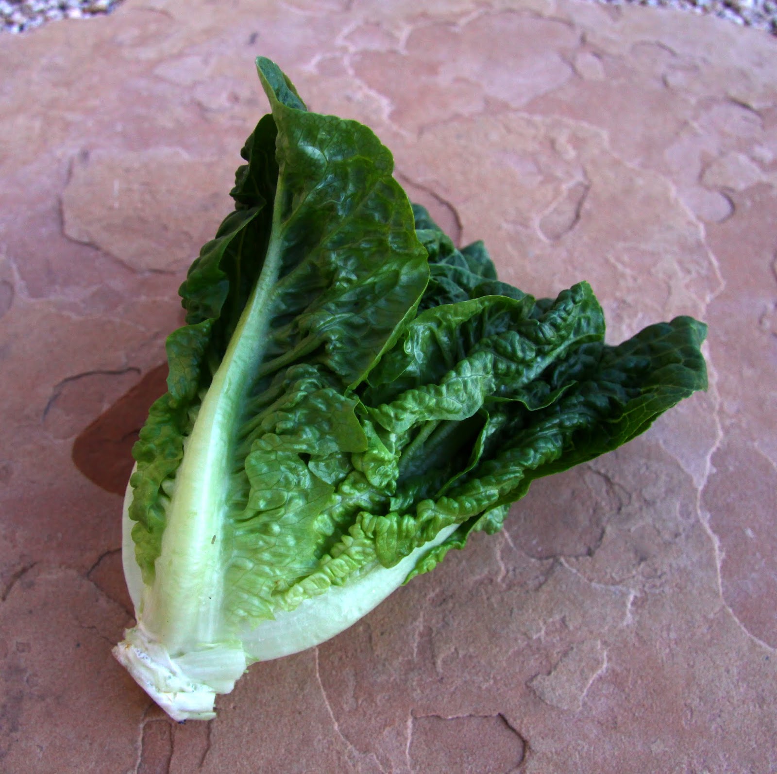 From Seed To Table: Harvest Monday - January 26, 2015